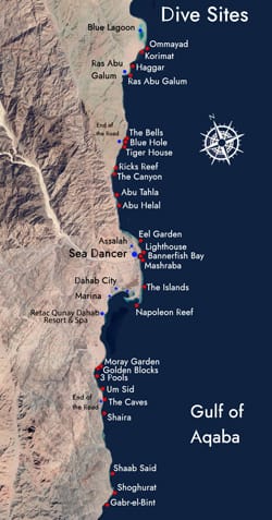 Sea Dancer - Sea Dancer Dive Center